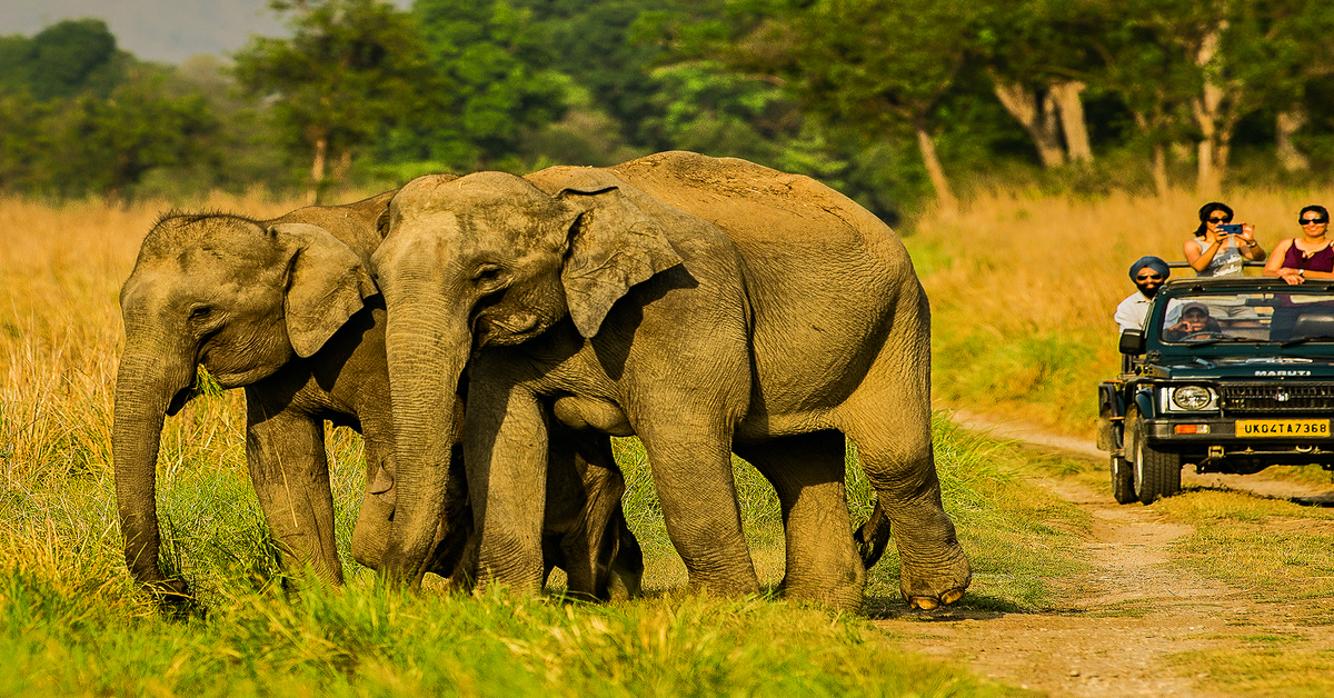 How to Reach Jim Corbett from Dehradun | Road Route Guide - Updated ...
